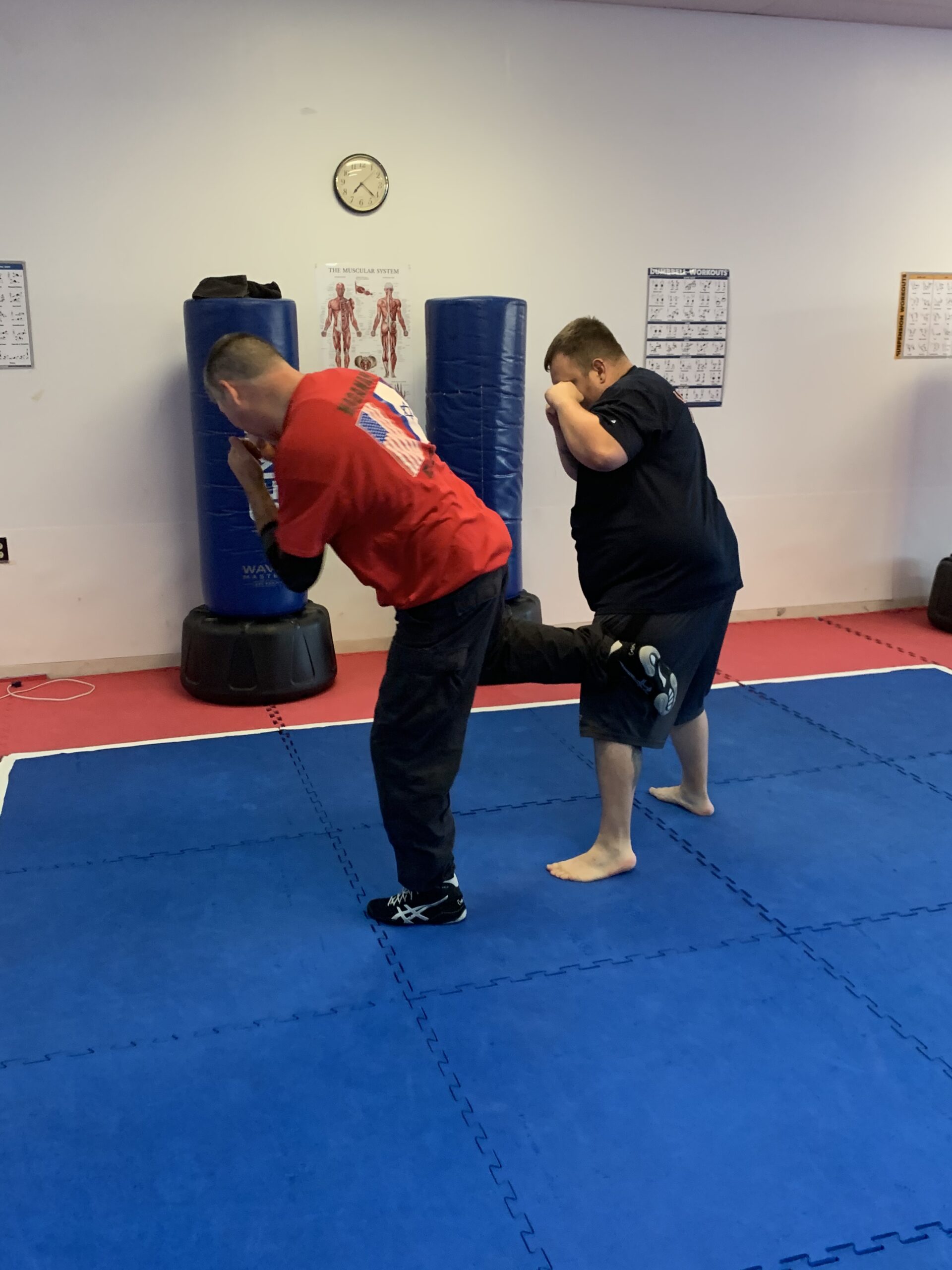Haganah – Academy of Okinawan Karate